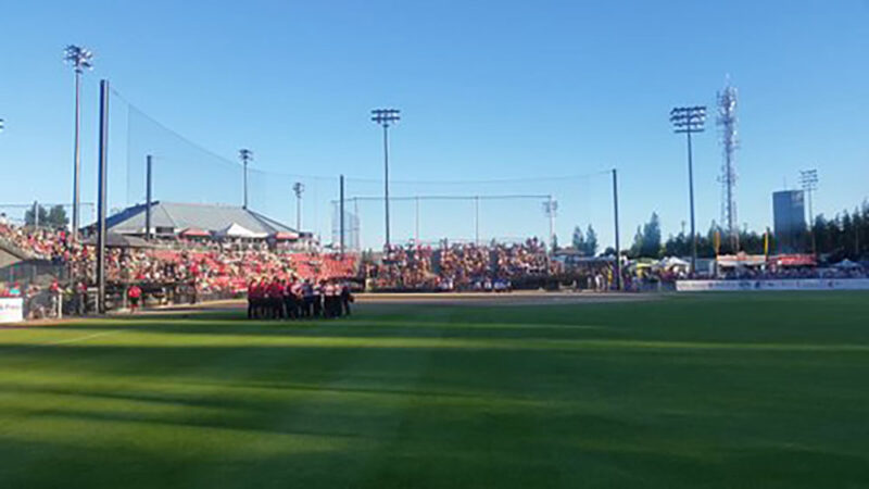 Softball City Chain Link Fence - Surrey, BC - Raybern Erectors